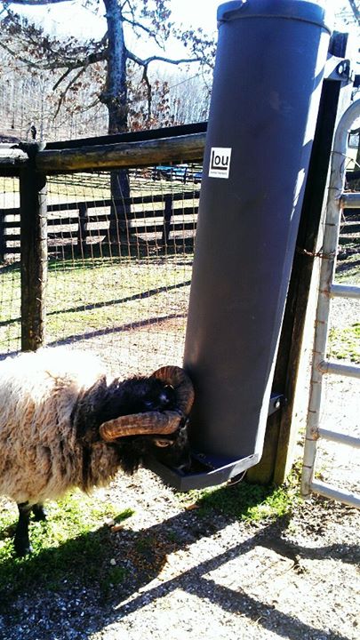 Eco friendly Gravity Fed Animal Feeders that attach to any Tree or Post ...